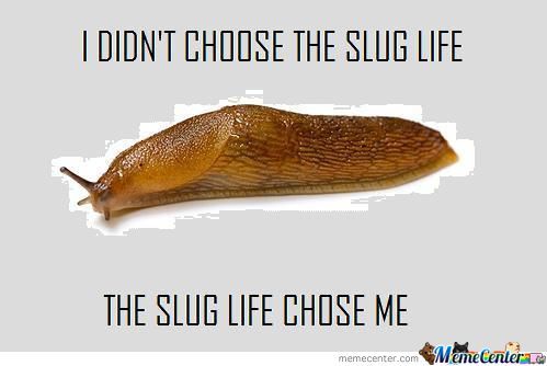 Slug Life Memes AWWWWW!!!!! 🥹🥲 I Actually Love My Slug Memes So