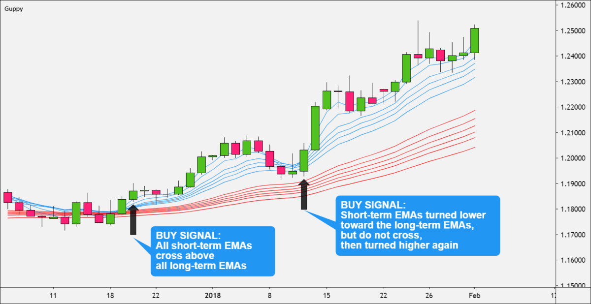 How to Trend Trade with Guppy Multiple Moving Average (GMMA) - Babypips.com